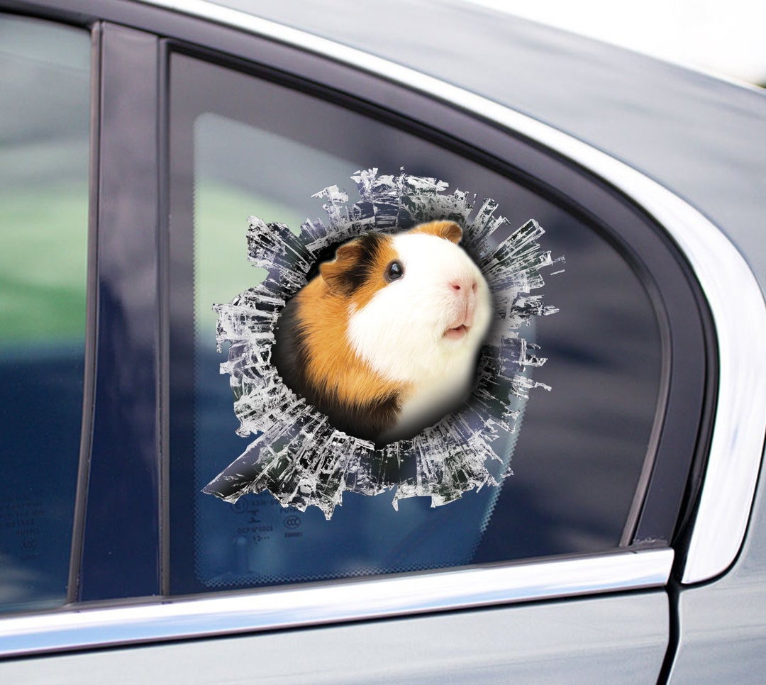 Guinea Pig Window Decal, Guinea Pig Car Sticker, Guinea Pig Car Decal ...