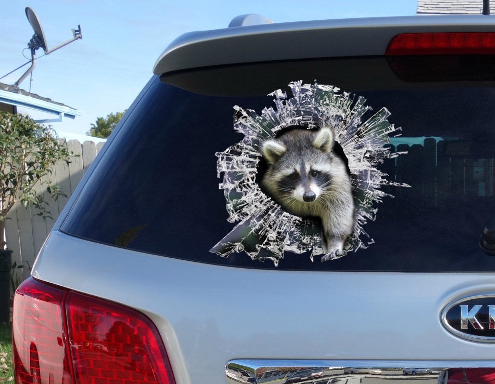 STICKER Raccoon Window Sticker Car Sticker Raccoon Car - Etsy
