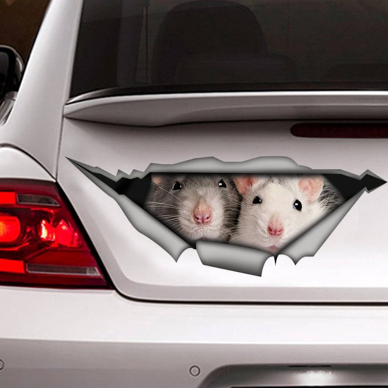 Rats Decal Funny Sticker Rats Car Sticker Rat Sticker Pet - Etsy