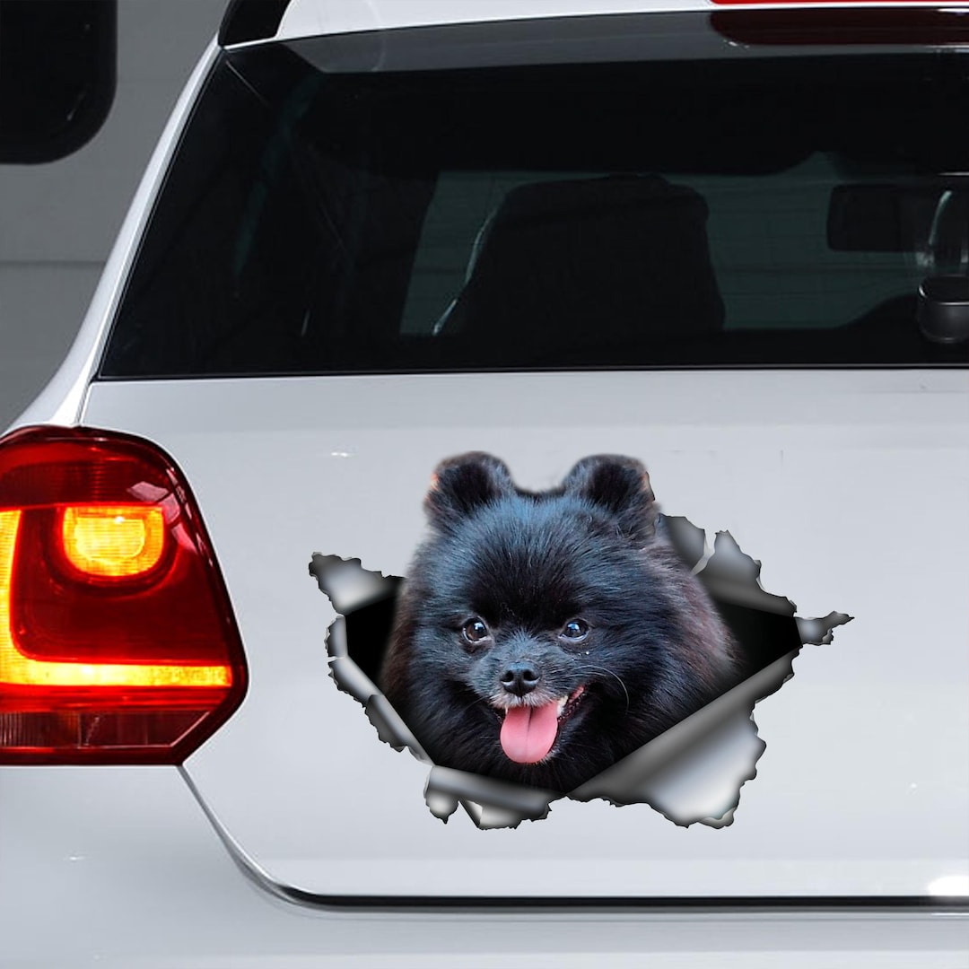 Black Pom Decal , Pomeranian Magnet, Pomeranian Car Decal, Pom Car ...