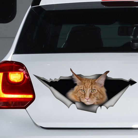 Red Maine Coon Car Decal Funny Sticker Red Maine Coon Car | Etsy