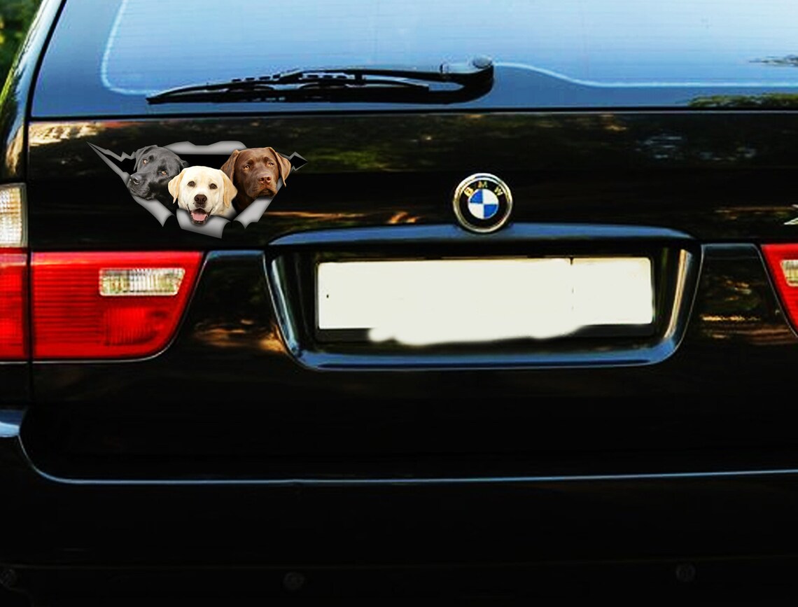 Lab Sticker, Golden Lab, Chocolate Lab, Black Lab, Labrador Car Decal ...