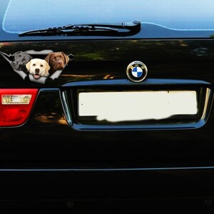 Lab Sticker, Golden Lab, Chocolate Lab, Black Lab, Labrador Car Decal ...