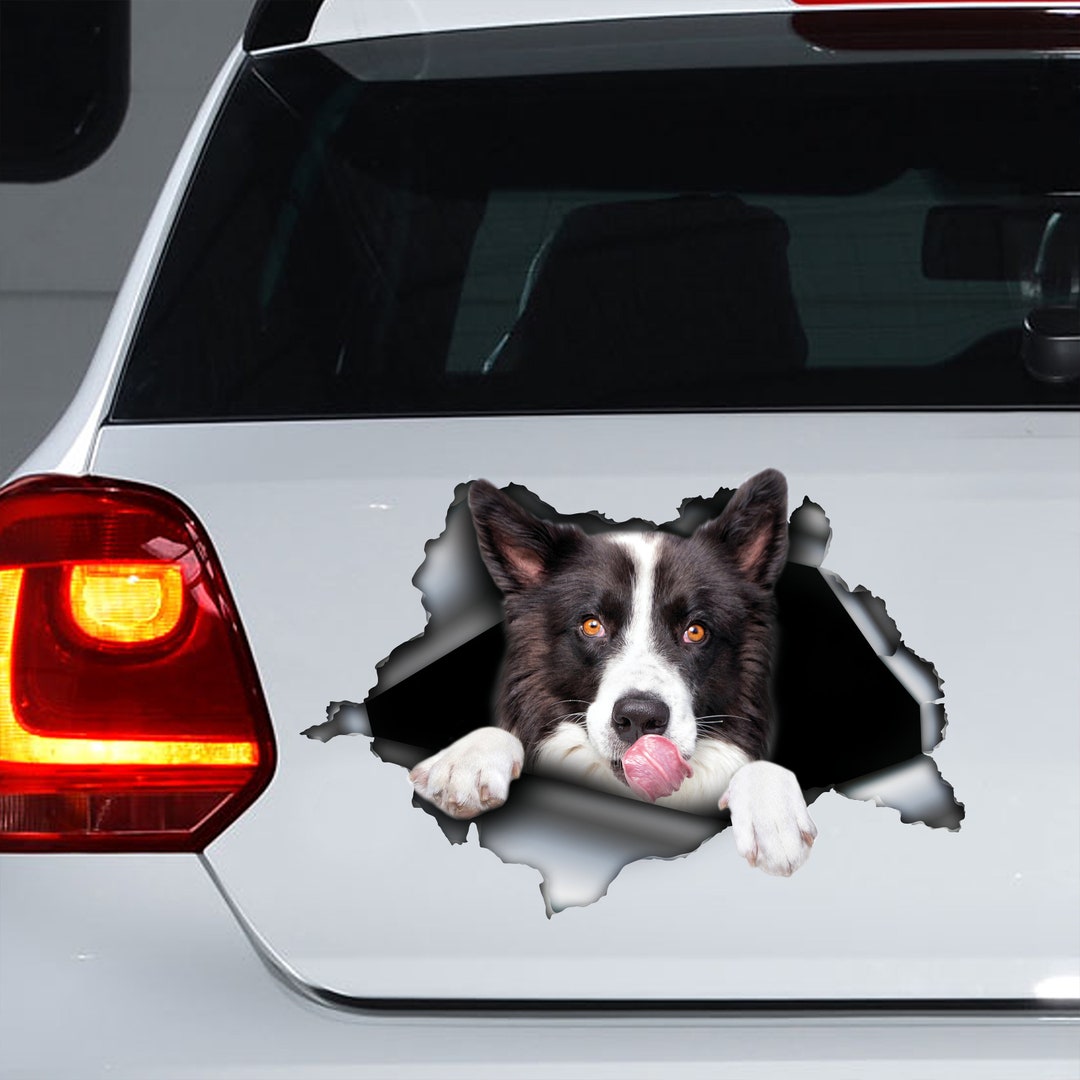 Border Collie Decal, Border Collie Sticker, Border Collie Magnet ...