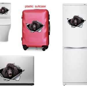 Black Poodle Decal , Black Poodle Magnet, Poodle Sticker, Poodle Car ...
