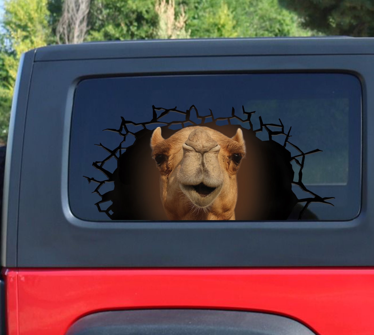 Camel 3D Decal Cracked Window Decal Camel Car Decal - Etsy Canada