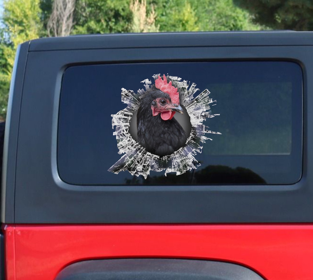 Black Chicken Window Sticker, Car Sticker, Black Chicken Car Decal - Etsy