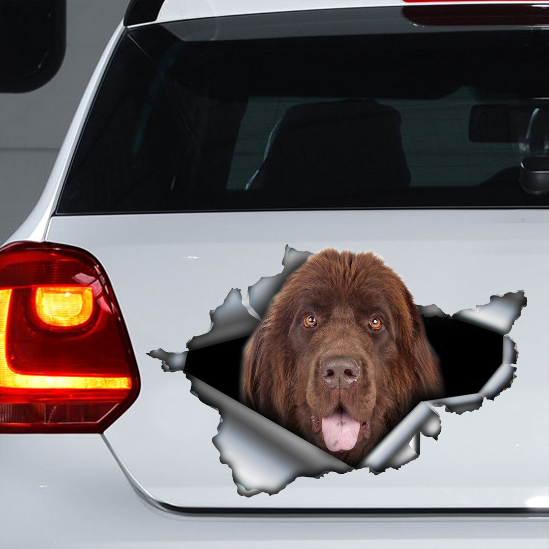 Brown Newfie Decal, Brown Newfie Magnet, Newfoundland Sticker - Etsy