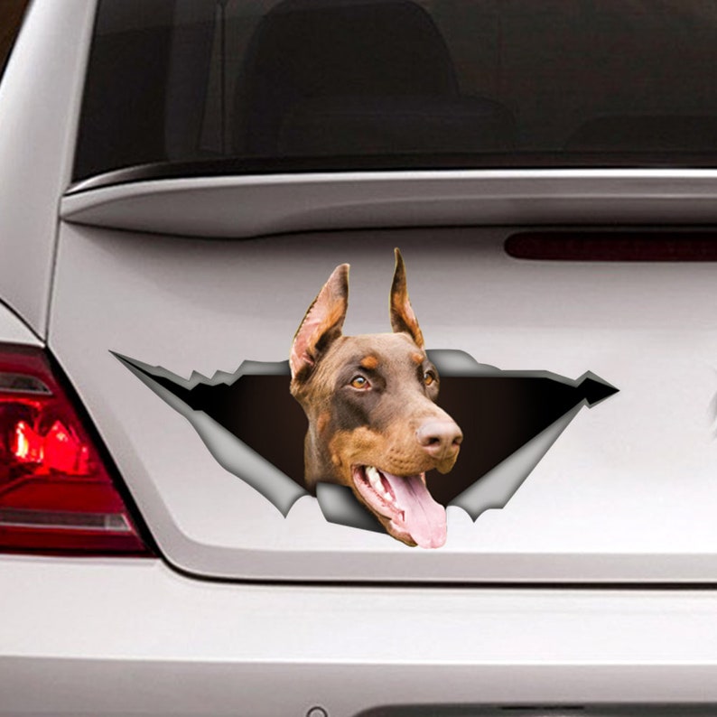 Brown Doberman Sticker, Doberman Car Decal,pet Decal, Brown Doberman ...