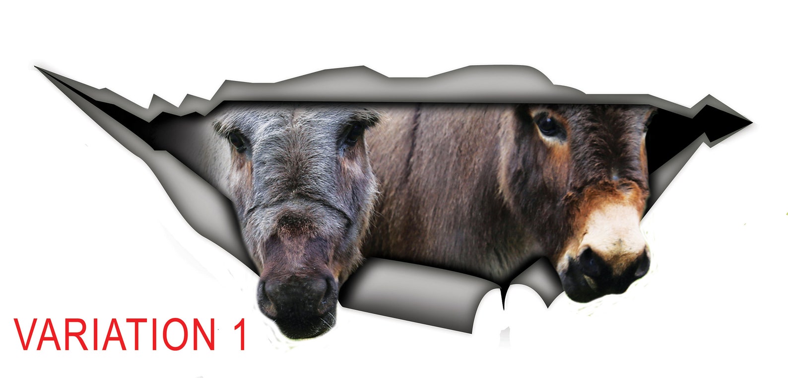 Mini Donkey Car Decal Donkey Sticker Vinyl Decal | Etsy