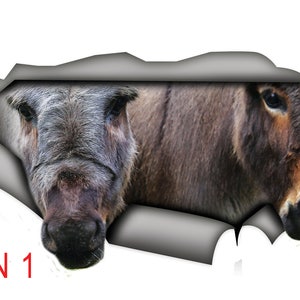 Mini Donkey Car Decal, Donkey Sticker, Vinyl Decal - Etsy