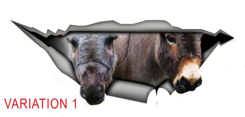 Mini Donkey Car Decal Donkey Sticker Vinyl Decal - Etsy