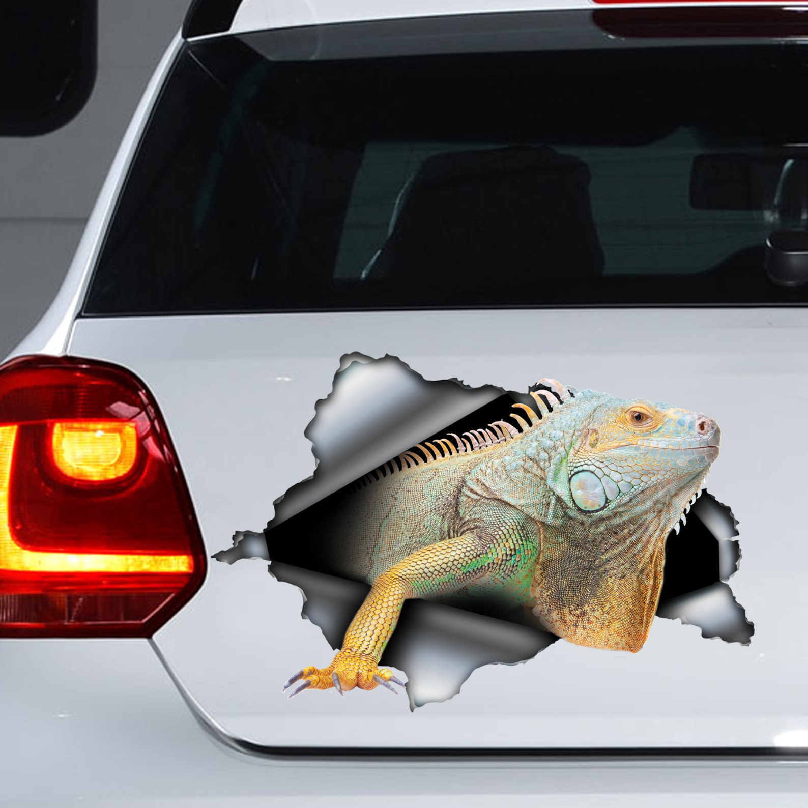 Iguana Car Decal Iguana Car Magnet Iguana Sticker - Etsy