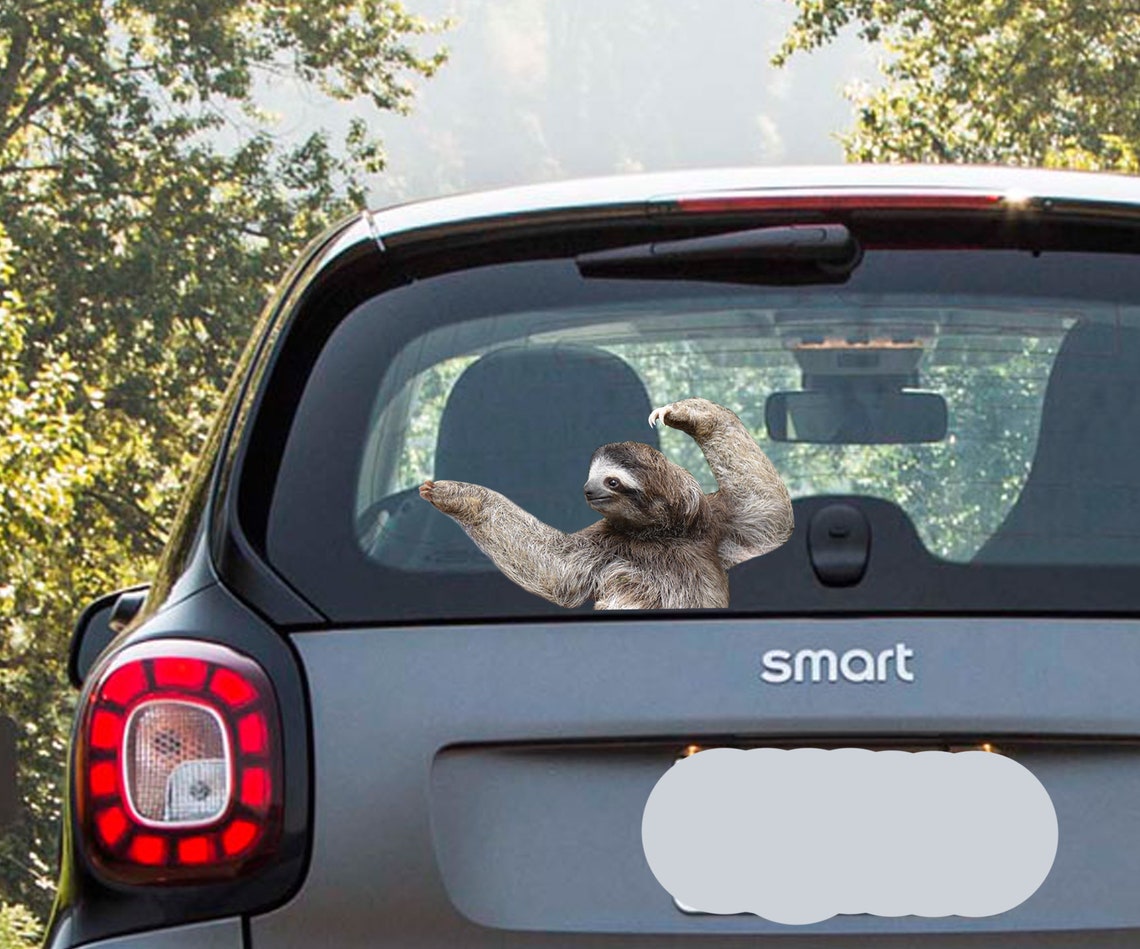 Sloth window sticker car sticker sloth car decal funny | Etsy
