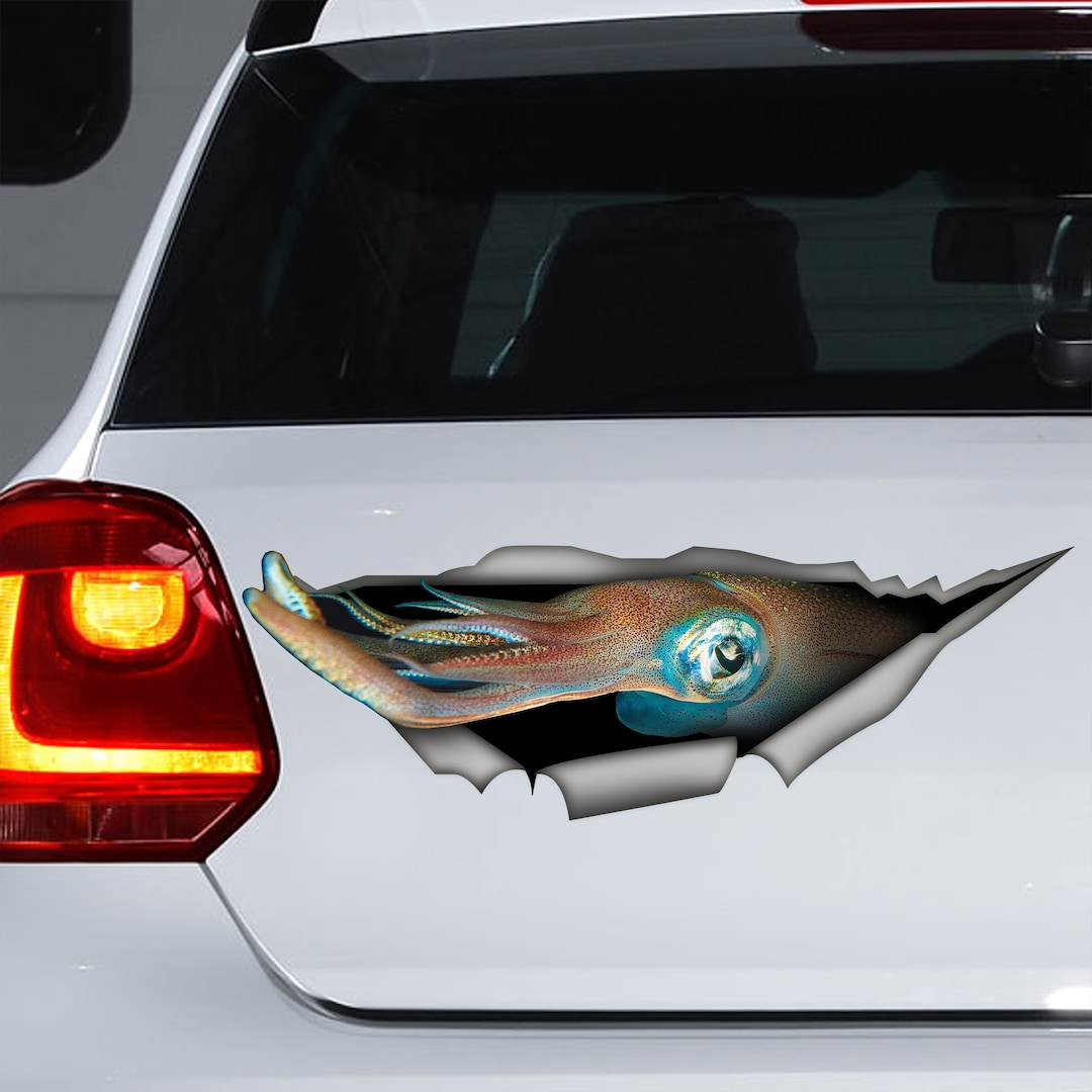 Squid Decal, Squid Car Sticker, Squid Magnet, Funny Car Decal - Etsy