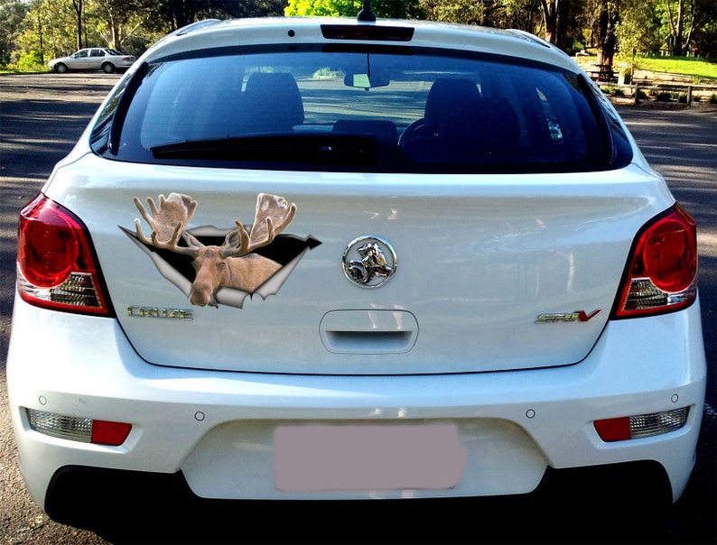 Moose Car Decal Animal Decal Moose Sticker Funny Decal - Etsy