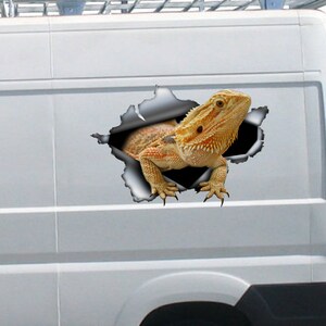 Bearded Dragon Car Decal, Bearded Dragon Magnet, Bearded Dragon Car ...