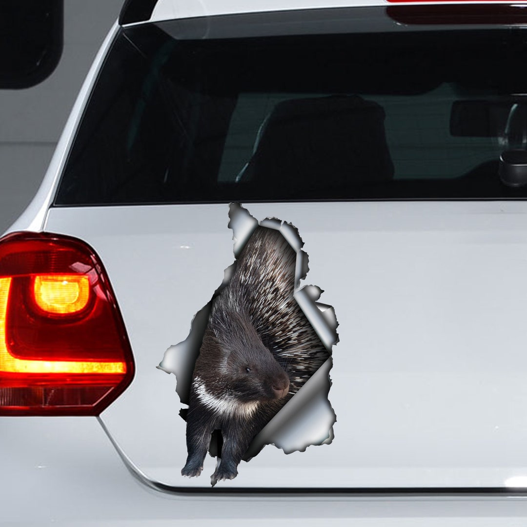 Porcupine Car Decal , Crested Porcupine Magnet,porcupine Sticker - Etsy