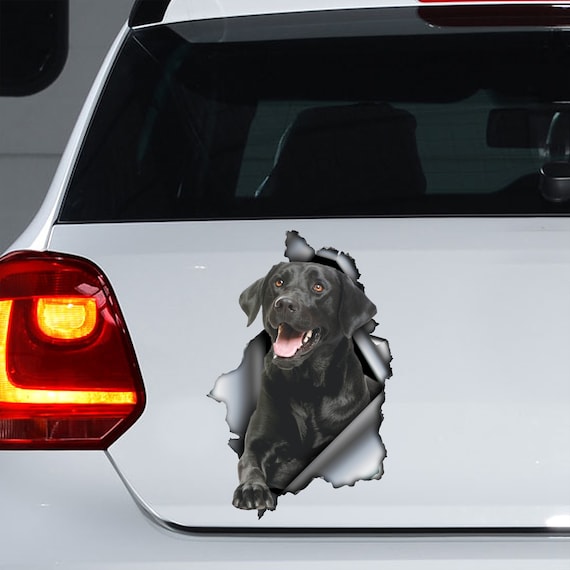 Black Lab Car Decal Black Labrador Decal Black Lab Magnet - Etsy