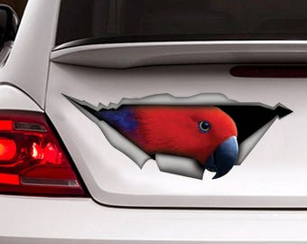 Red Bird Car Decal - Etsy