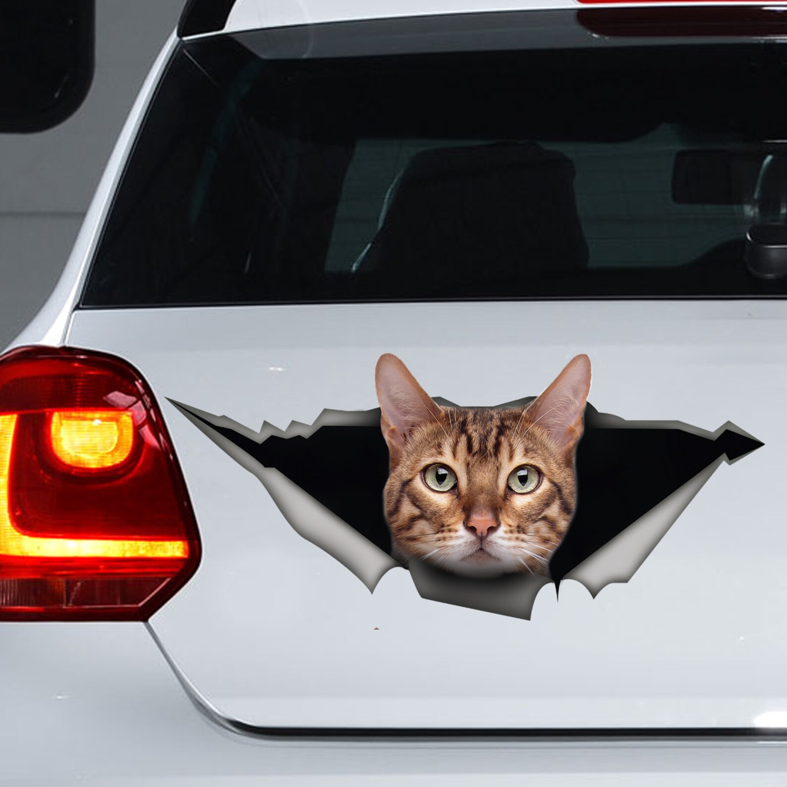 Cute Bengal cat car decal funny sticker Bengal cat car | Etsy