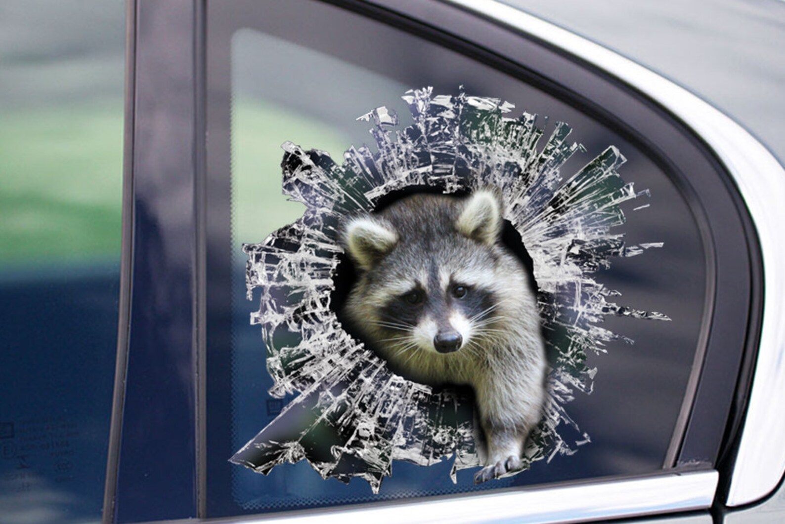 STICKER Raccoon Window Sticker Car Sticker Raccoon Car - Etsy