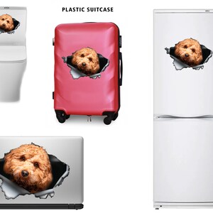 Cavapoo Decal , Cavoodle Sticker, Cavapoo Magnet, Cavadoodle Car Decal ...