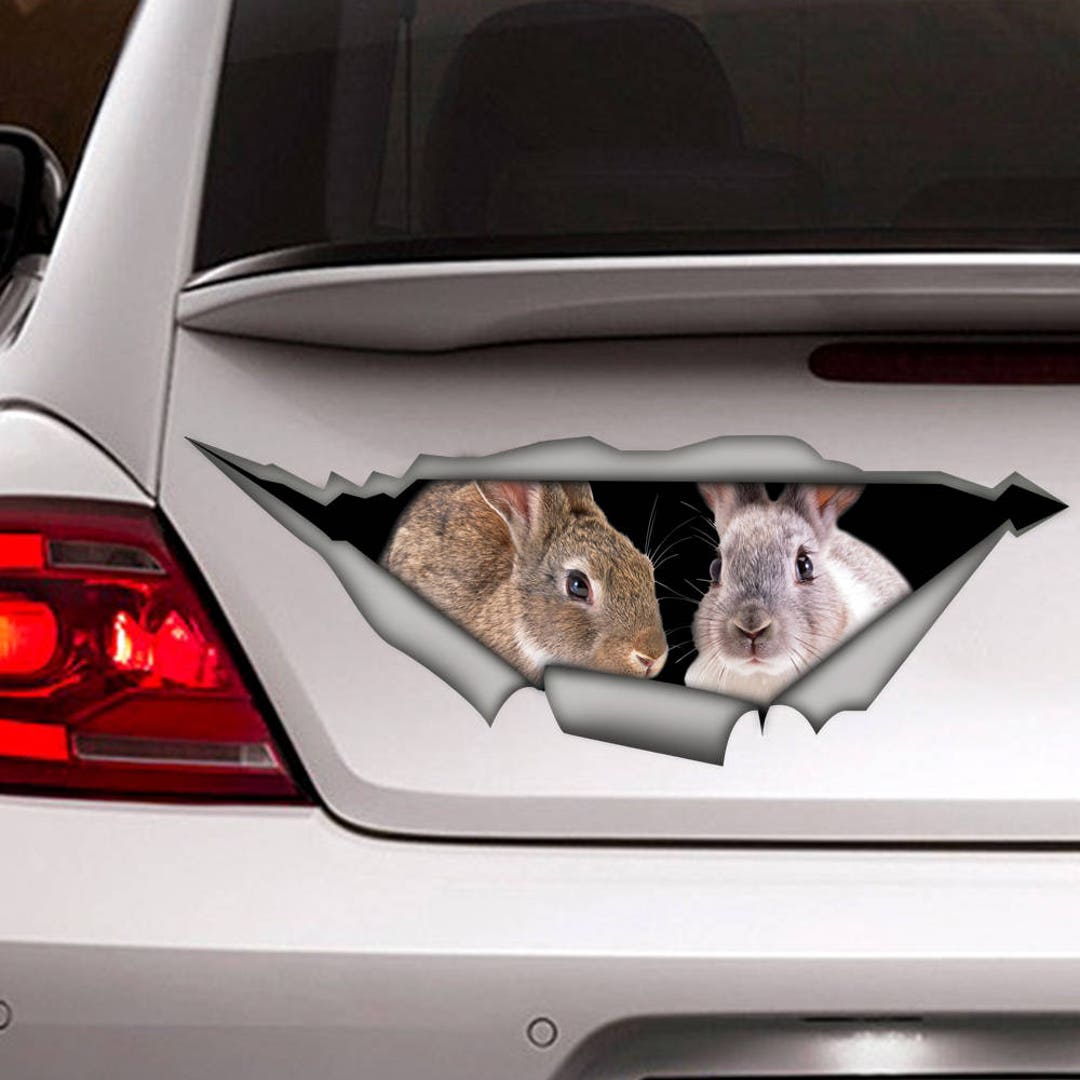 Rabbits Sticker, Bunny Car Decal, Vinyl Decal, Car Decoration, Pet ...
