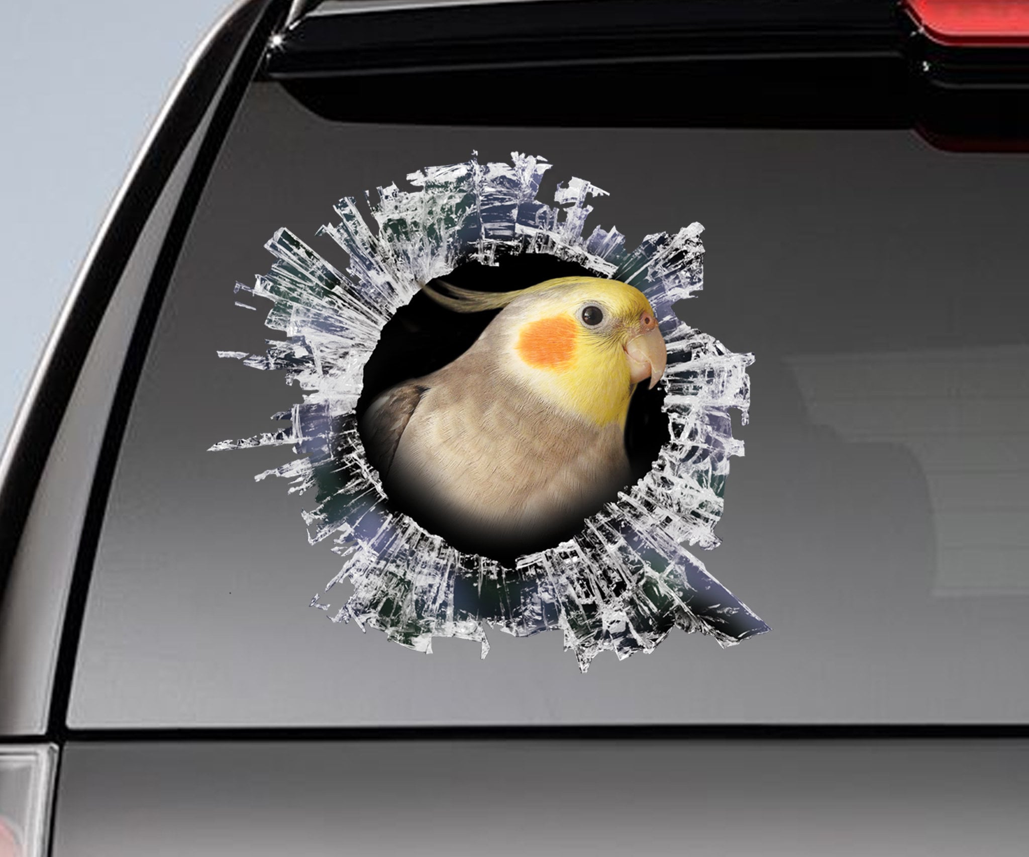 Cockatiel Window Decal Car Sticker Cockatiel Car Decal - Etsy