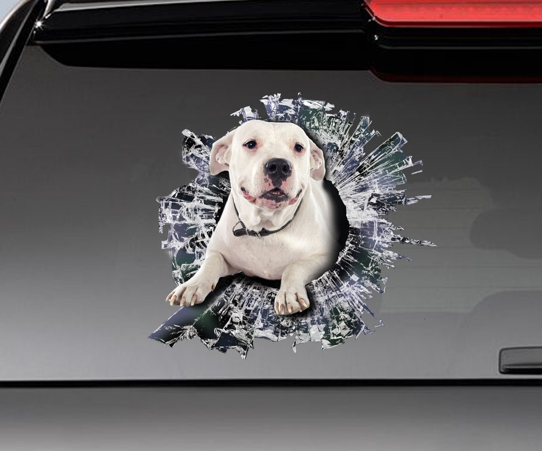 White Pitbull Window Sticker , Car Decoration, Window Pet Sticker ...