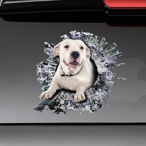 White Pitbull Window Sticker , Car Decoration, Window Pet Sticker ...
