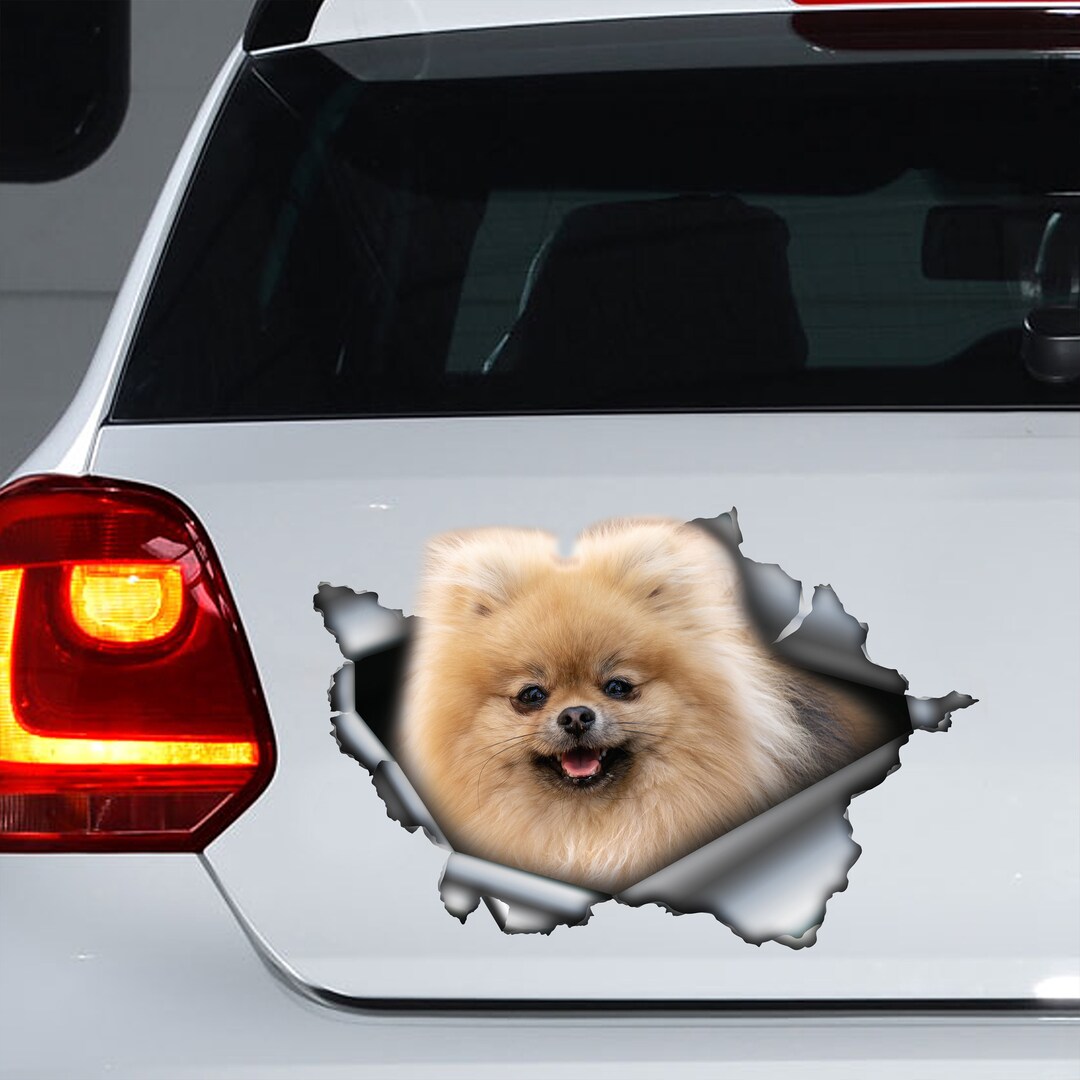 Pom Car Decal , Pomeranian Magnet, Pomeranian Car Decal, Pom Car ...