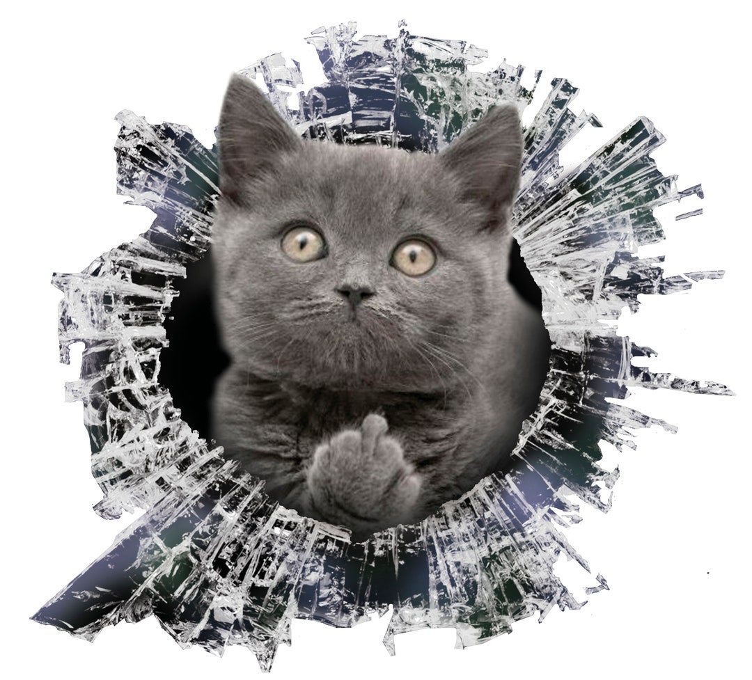 Funny Cat Window Sticker, Car Sticker, British Cat Decal, Funny Decal ...