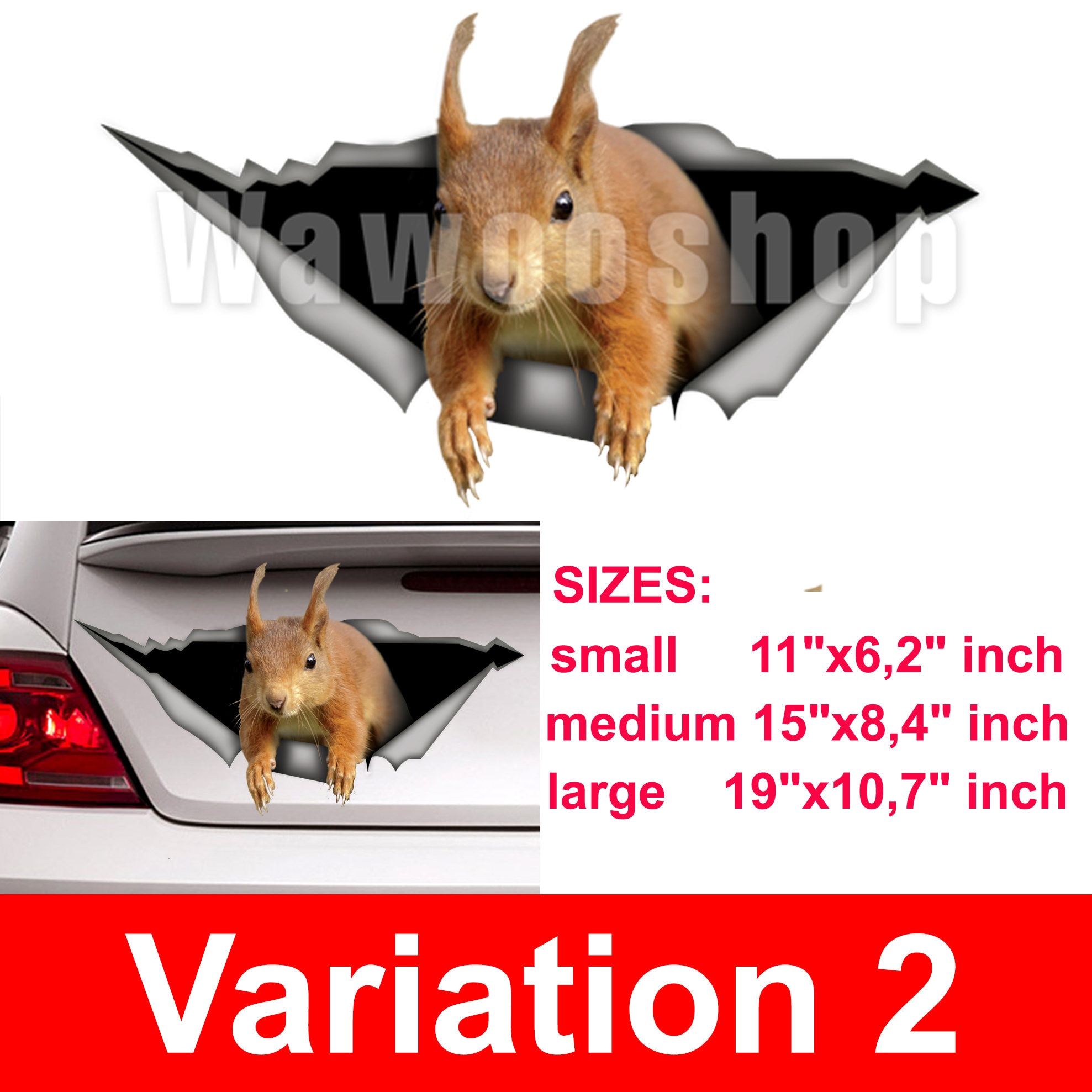 Squirrel Car Decal, Funny Car Decal, Vinyl Decal, Car Decoration ...