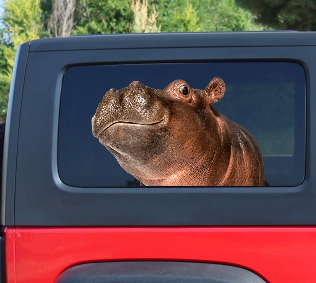 Hippo Car Window Sticker , Hippopotamus Sticker, Funny Sticker ...