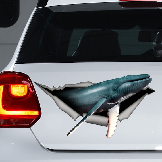 Whale Car Sticker Whale Car Decal Whale Sticker Whale - Etsy