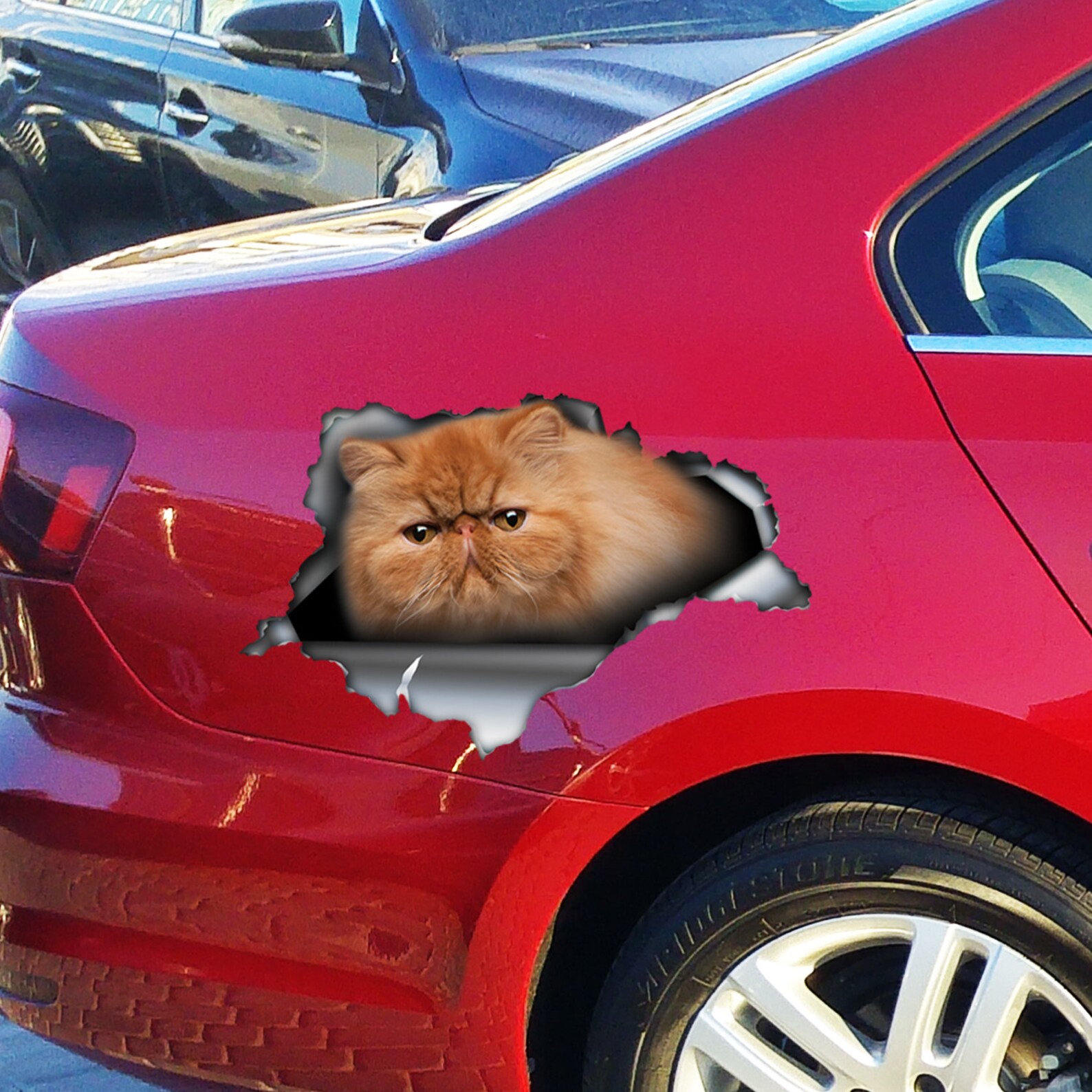 Red Persian Cat Car Decal Red Cat Magnet Persian Cat - Etsy