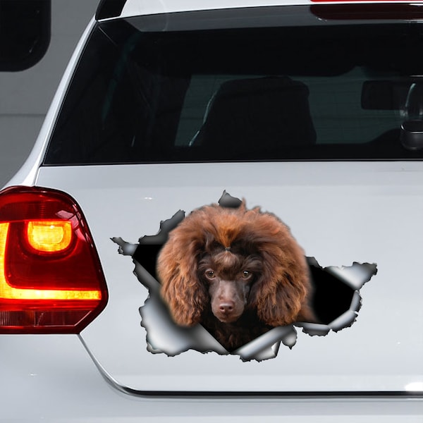 Poodle Magnet - Etsy