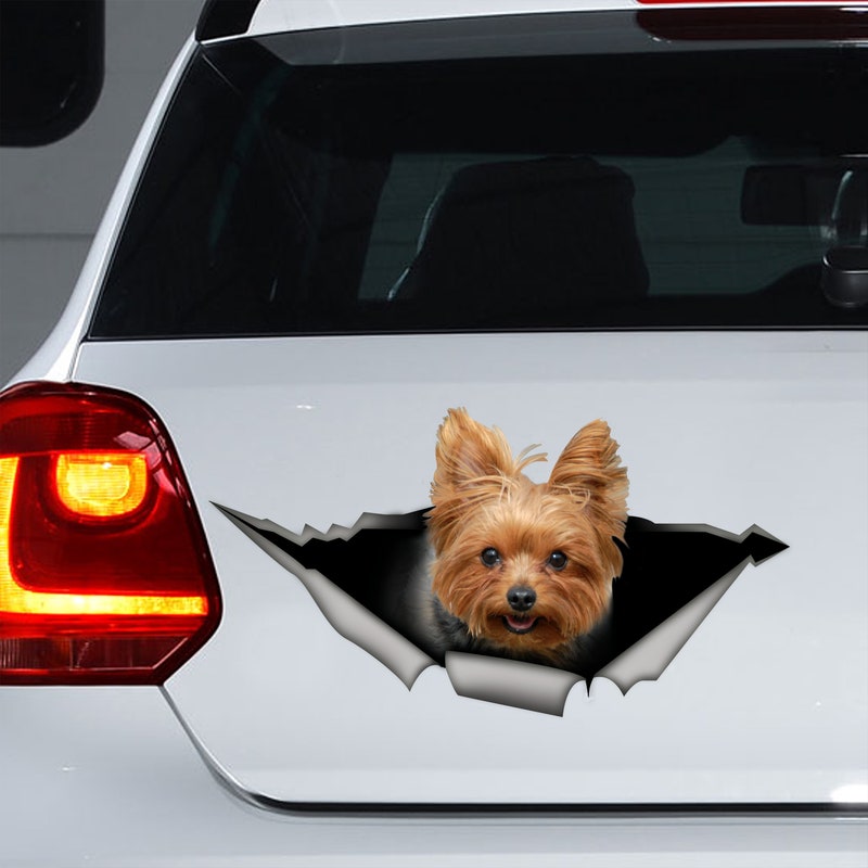 Yorkie Decal for Car - Etsy