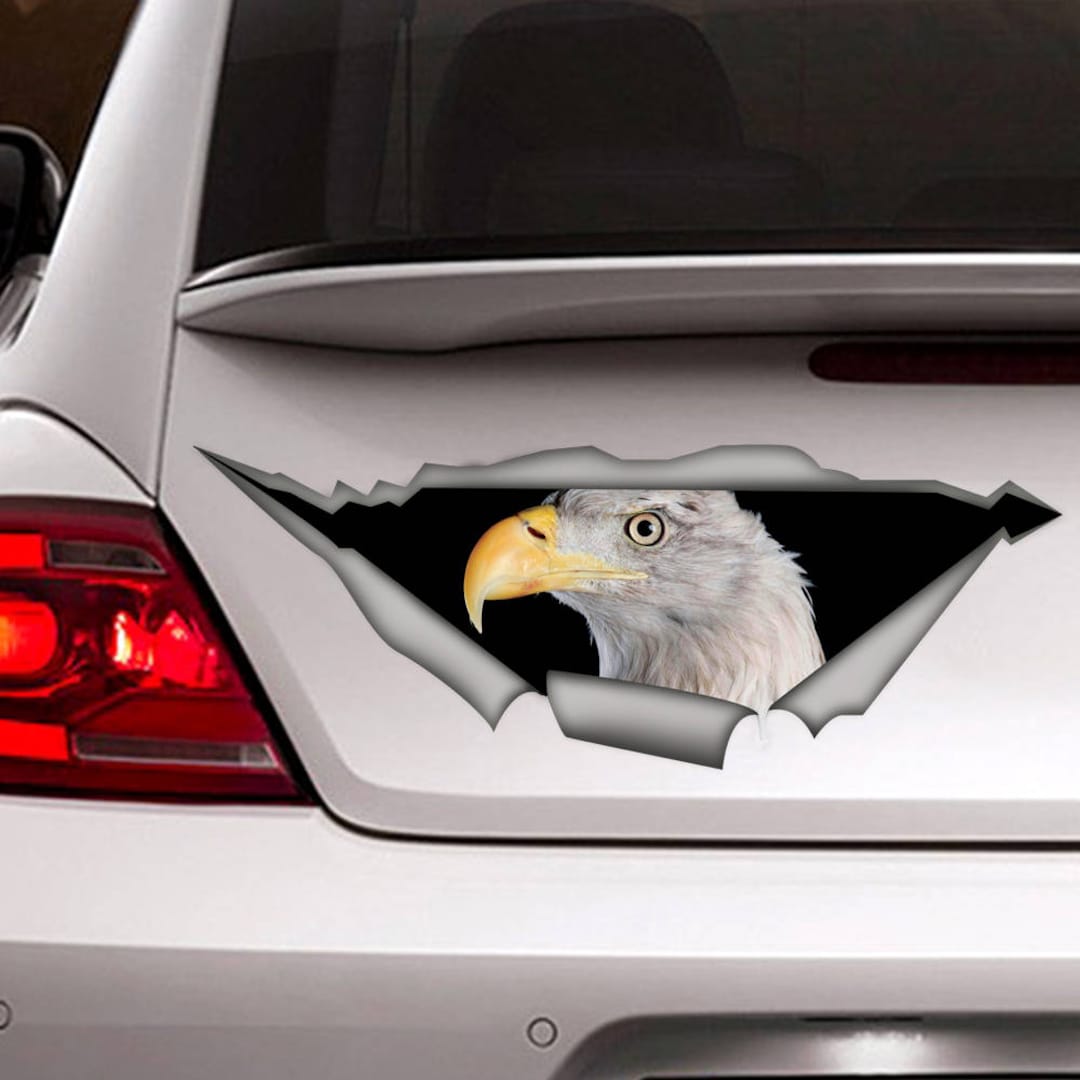 Eagle Car Decal , Bird Car Decal, Vinyl Decal, Bird Sticker, Funny ...