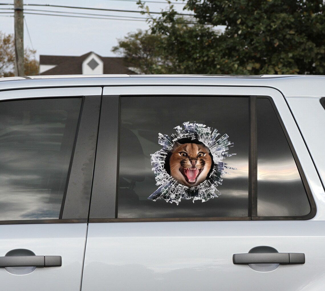 Caracal Window Sticker Car Sticker Caracal Car Decal Window - Etsy