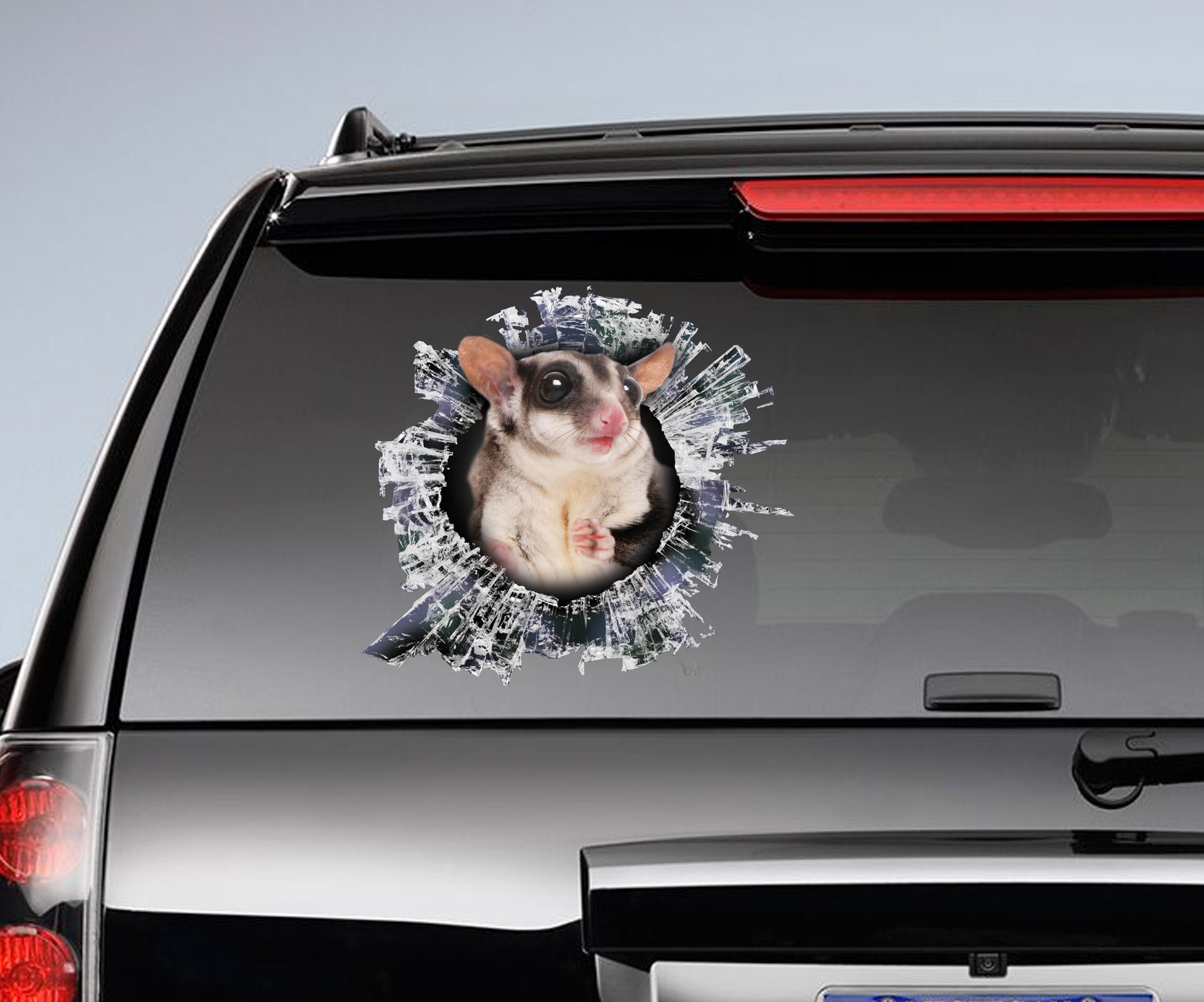 Sugar Glider Window Decal, Sugar Glider Car Decal, Funny Sugar Glider ...
