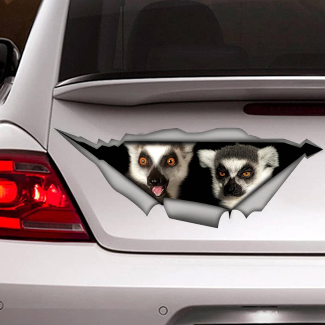 Lemurs Decal, Lemur Magnet, Car Decoration, Lemur Sticker, Animals ...