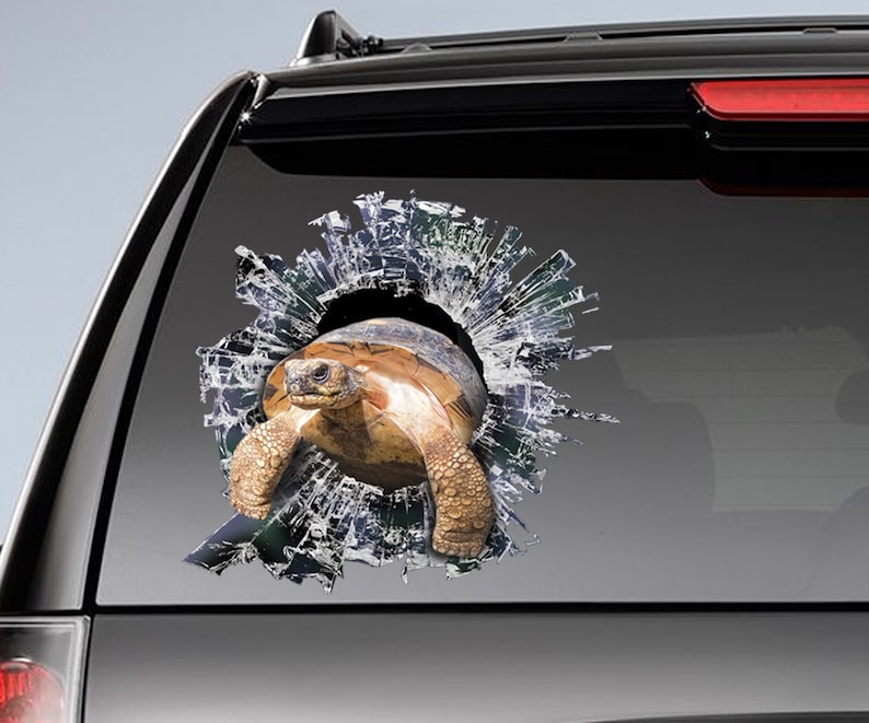 Giant Tortoise Window Decal Car Sticker Tortoise Car | Etsy