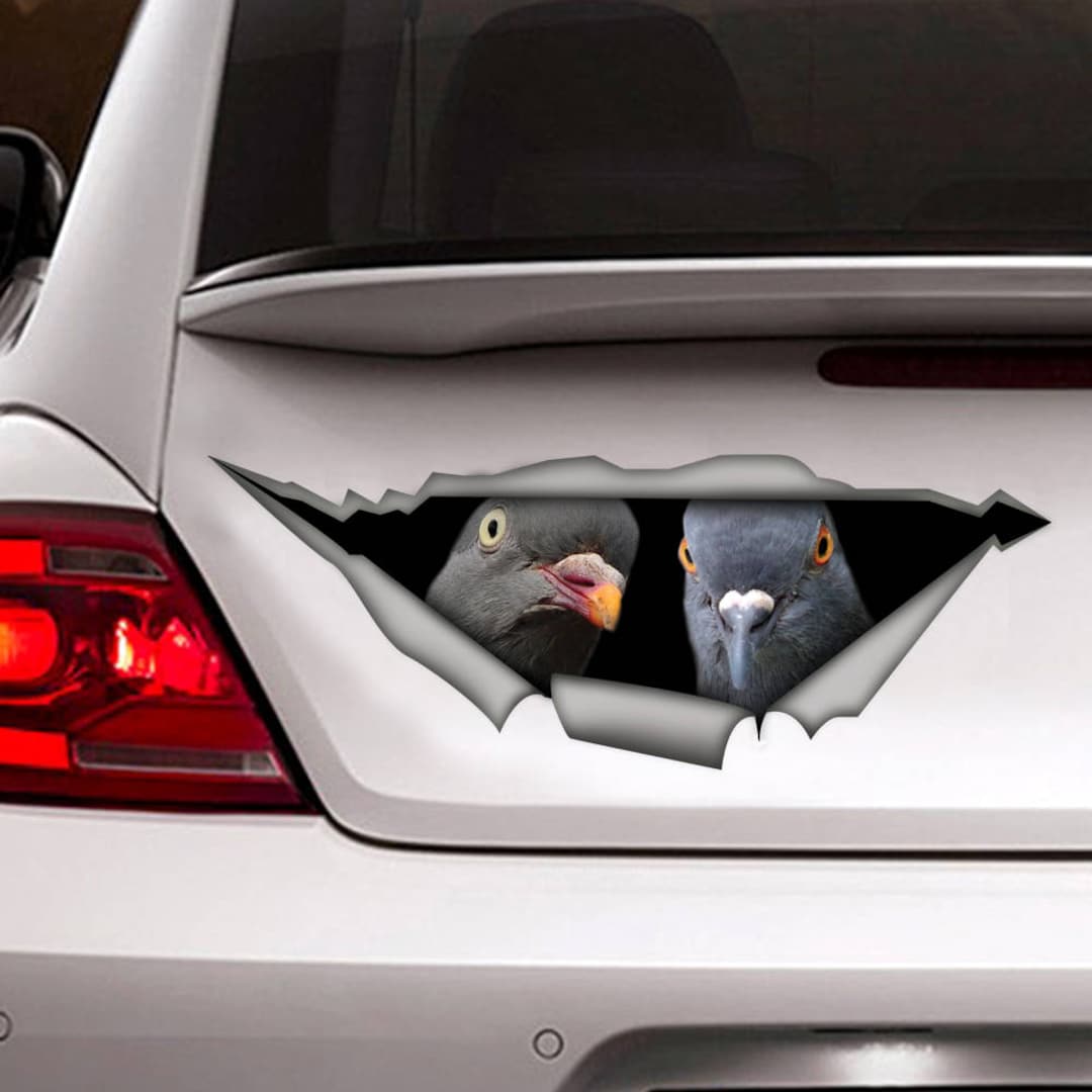 Pigeon Car Decal , Bird Decal, Vinyl Decal, Bird Sticker, Funny Decal ...