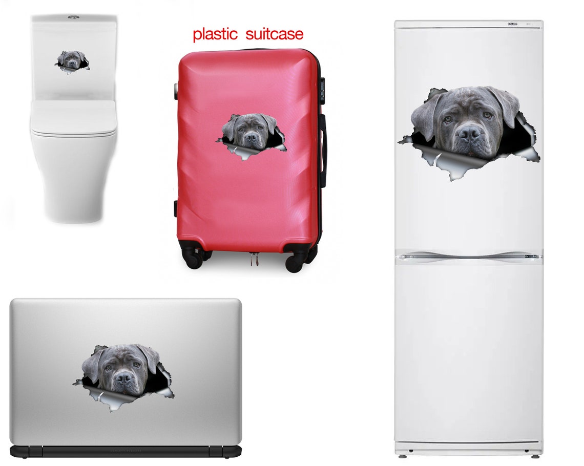 Gray Cane Corso Car Decal, Gray Cane Corso Magnet, Gray Cane Corso ...
