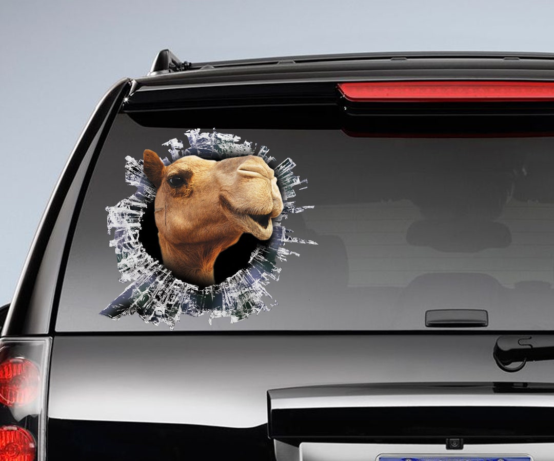 Funny Camel Car