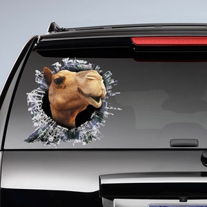 Camel Window Decal, Camel Car Sticker, Camel Car Decal, Funny Decal - Etsy