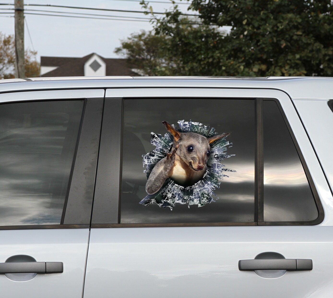 Possum Window Decal Possum Car Sticker Possum Car Decal - Etsy Canada
