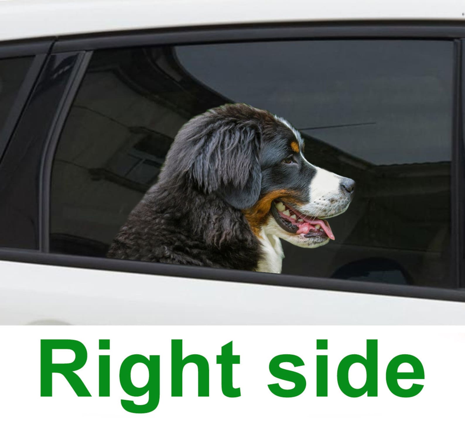 Bernese Mountain Dog Car Window Sticker , 3D Sticker, Bernese Mountain ...